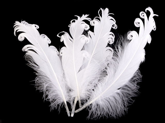 Curly Goose Feathers length 12-18 cm | STOKLASA Haberdashery and Fabrics