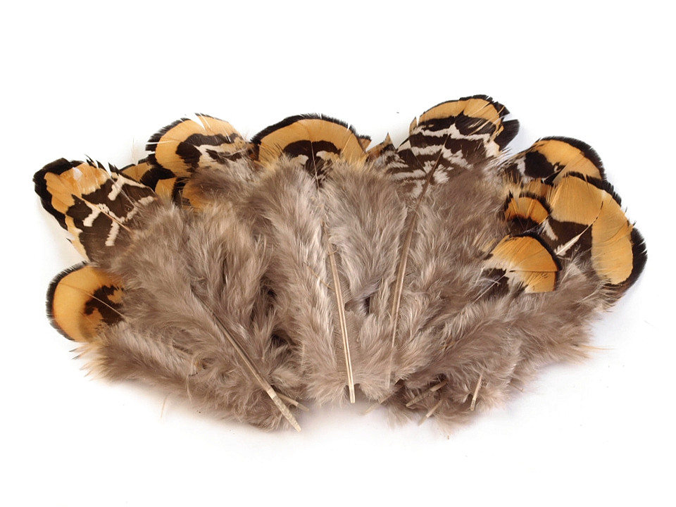 Fasanenfedern Länge 4,5-8,5 cm | STOKLASA Textilkurzwaren und Stoffe