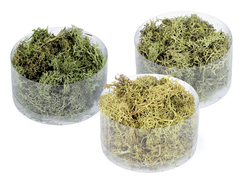 Preserved / Stabilized Natural Moss 20 g in a box | STOKLASA ...